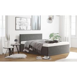 Westfalia Schlafkomfort Polsterbett mit Bettkasten bei Ausf&uuml;hrung mit Matratze grau Liegefl&auml;che L&auml;nge B: 200cm x 180cm, Samtvelours, H&ouml;he Liegefl&auml;che: 55,00, Bonnell-