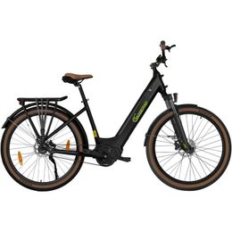 Sachsenrad Unisex SachsenRad &raquo;C5R&laquo; 1 Gang Shimano keine Schaltwerk ohne Schaltung Mittelmotor 250 W TFT Farb-LCD-Display, Fahrmodus Pedelec, LED-