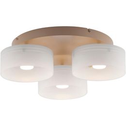 Paul Neuhaus LED Deckenleuchte &raquo;MARIKA&laquo; LED-Board 1 Stk. Warmwei&szlig; Stufenlos dimmbar &uuml;ber den Lichtschalter, Memoryfunktion, Opalgl&auml;ser 3, &Oslash; 40cm H: 15,5cm, 1 Stk.