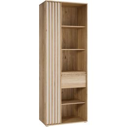FORTE Regal &raquo;Stauraumregal, 1T/1SK, Soft Close, Vollauszug SK&laquo; B/H/T 73,1/200,1/41,7 cm optionale Beleuchtung braun Holzwerkstoff B/H/T: 73,1cm x 