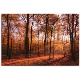 Artland Leinwandbild &raquo;Sonnenaufgang im Herbst II&laquo; Wald 1 Stk. tlg. auf Holzrahmen gespannt braun B/H/T: 90cm x 60cm, Leinwandbild Wald, 1 Stk.