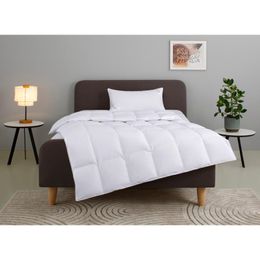OTTO home G&auml;nsedaunenbettdecke + Kopfkissen &raquo;Litrone Bettdecke 135x200 cm, 155 x220 cm&laquo; Set mit Kissen 40x80 cm, 80x80 cm, Fr&uuml;hling, Sommer, Herbst, 