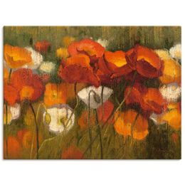 Artland Leinwandbild &raquo;Das starke Rot II&laquo; Blumenwiese 1 Stk. tlg. auf Holzrahmen gespannt orange Leinwand B/H/T: 60cm x 45cm, Leinwandbild Blumenwiese 