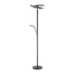 Paul Neuhaus Stehlampe &raquo;ARTUR&laquo; LED-Board 1 Stk. warmwei&szlig; - kaltwei&szlig; CCT-tunable white, dimmbar &uuml;ber Tastdimmer grau 2, &Oslash; 0cm H: 181,5cm, 1 Stk.
