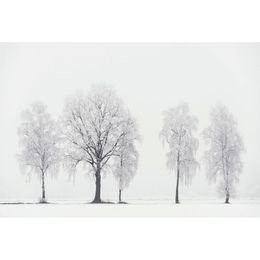 ARCHITECTS PAPER Fototapete &raquo;Frozen Five&laquo; Vlies, Wand, Schr&auml;ge braun Vlies B/L: 4m x 2,7m