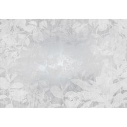 Komar Vliestapete &raquo;Digitaldruck Vlies - Flora - Gr&ouml;&szlig;e 400 x 280 cm&laquo; bedruckt glatt Wohnzimmer, Schlafzimmer grau Vlies B/L: 400m x 280m, Rollen: 1