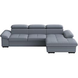 Sit & More sit&more Ecksofa &raquo;Viola, Leder, L-Form, B: 260 cm, mit Armteil- und Kopfteilvertsellung&laquo; optional mit Schlaffunktion grau B/H/T: 260cm x 73cm x 174cm,