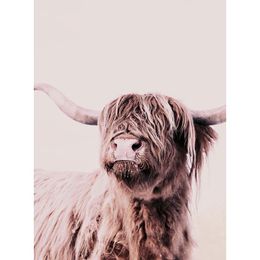 Livingwalls living walls Fototapete &raquo;ARTist Highland Cattle&laquo; Vlies, Wand, Schr&auml;ge braun Vlies B/L: 2m x 2,7m