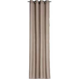 G&ouml;zze Vorhang &raquo;Linus &Ouml;senschal&laquo; &Ouml;sen 1 Stk. tlg. HxB: 245x140, Uni Panamagewebe grau Polyester 245cm, &Ouml;sen, 140cm