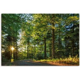Artland Wandbild &raquo;Waldweg im Romantischen Schwarzwald&laquo; Waldbilder 1 Stk. tlg. als Alubild, Leinwandbild in verschied. Gr&ouml;&szlig;en gr&uuml;n B/H/T: 60cm x 40cm, 