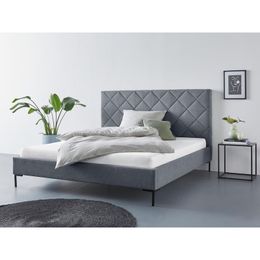 Home Affaire Polsterbett &raquo;Charlott&laquo; Modernes Polsterbett mit oder ohne Lattenrost grau L&auml;nge B: 215cm x 194cm, Chenille ohne Lattenrost, H&ouml;he Bett: 