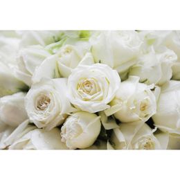 papermoon Fototapete &raquo;White Roses&laquo; glatt bunt Vlies B/L: 1,5m x 1,11m, Bahnen: 7 Stk.
