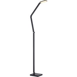 Paul Neuhaus LED Stehlampe &raquo;SAMSKY&laquo; LED-Board 1 Stk. warmwei&szlig; - kaltwei&szlig; Tastdimmer, CCT 2700-5000K, Memory, H&ouml;henverstellbar 1, H: 114cm, 1 Stk.