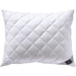 Billerbeck Synthetikkopfkissen &raquo;520 ALCANDO , Kissen bauschkr&auml;ftig&laquo; F&uuml;llung: AIRFLOCKS ; 70% Polyester, 30% Lyocell (Tencel); 1 Stk. tlg. Die 