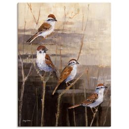 Artland Leinwandbild &raquo;Abend Heiligtum II&laquo; V&ouml;gel 1 Stk. tlg. auf Holzrahmen gespannt braun Leinwand B/H/T: 60cm x 80cm, Leinwandbild V&ouml;gel Hochformat, 1 Stk.
