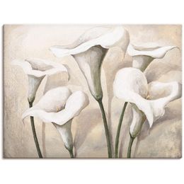 Artland Leinwandbild &raquo;Callas I&laquo; Blumen 1 Stk. tlg. auf Holzrahmen gespannt beige Leinwand B/H/T: 60cm x 45cm, Leinwandbild Blumen Querformat, 1 Stk.