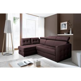 exxpo - sofa fashion Ecksofa &raquo;Arles, Federkern, zeitlos, Breite 225cm, L-Form&laquo; wahlweise mit Bettfunktion und Bettkasten, inkl. Kopfteilverstellung 