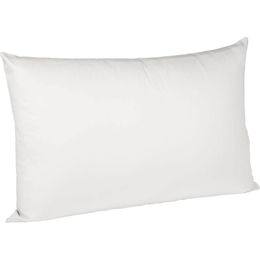 Fleuresse Kissenbezug &raquo;Colours Mako Satin, 100% Baumwolle, mit Rei&szlig;verschluss&laquo; Mako Satin, gl&auml;nzend, glatt, Premium Qualit&auml;t beige Mako-Satin, Mako-