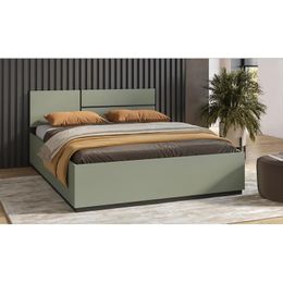 OTTO home Bett &raquo;Cross, moderner Bettrahmen&laquo; Doppelbett in zwei Gr&ouml;ssen, stabiles Bettgestell gr&uuml;n Liegefl&auml;che L&auml;nge B: 200cm x 160cm, H&ouml;he Bett: 91cm 