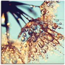 Artland Leinwandbild &raquo;Pusteblume Goldener Regen&laquo; Blumen 1 Stk. tlg. auf Holzrahmen gespannt blau Leinwand B/H/T: 40cm x 40cm, Leinwandbild Blumen quadratisch,