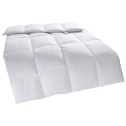 fan Daunenbettdecke &raquo;f.a.n. Canada&laquo; warm 1 Stk. tlg. wei&szlig; Bezug: 100% Baumwolle. F&uuml;llung: 90% Entendaune, 10% Entenfeder B/L: 135cm x 200cm, warm
