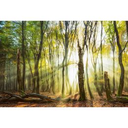 ARCHITECTS PAPER Fototapete &raquo;Still Standing&laquo; Vlies, Wand, Schr&auml;ge bunt Vlies B/L: 4m x 2,7m