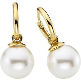Firetti Damen Paar Creolen &raquo;Schmuck Geschenk Silber 925 Ohrschmuck Ohrringe&laquo; mit Perle (synth.) - Einh&auml;nger abnehmbar gold 12mm, Perlen Silber 925 (