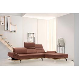 Creation BY ROLF BENZ Ecksofa &raquo;CR.420, Designecksofa, bequem, verstellbare R&uuml;ckenlehne, L-Form&laquo; in 2 Qualit&auml;ten, Holzrahmen in Eiche Natur oder 