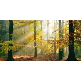 ARCHITECTS PAPER Fototapete &raquo;Sinfonia della foresta&laquo; Vlies, Wand, Schr&auml;ge bunt Vlies B/L: 5m x 2,5m