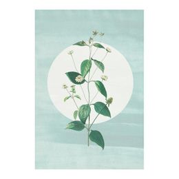 Komar Bild &raquo;Faire Pousser des Fraises&laquo; Natur 1 Stk. tlg. Wandbild zur Dekoration - ohne Rahmen bunt Holz, Papier B/H/T: 50cm x 70cm, Natur, 1 Stk.
