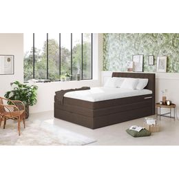 COTTA Boxspringbett &raquo;Shark inkl. Bettkasten und Topper&laquo; erh&auml;ltlich in den Breiten 140x200cm, 160x200cm und 180x200cm braun 100% POLYESTER (PES) 
