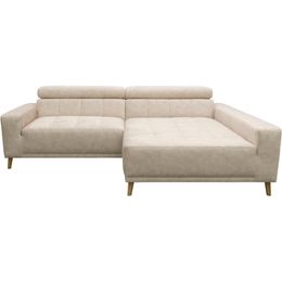 OTTO home Ecksofa &raquo;Greve 248 x 172 cm mit Steppungen, f&uuml;r g&auml;ngige Saugroboter geeignet&laquo; Kopfteile verstellbar, L-Form, aus Pet Friendly Bezug beige 