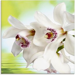 Artland Glasbild &raquo;Wei&szlig;e Orchidee&laquo; Blumen 1 Stk. tlg. in verschiedenen Gr&ouml;&szlig;en wei&szlig; B/H/T: 30cm x 30cm, Glasbild Blumen, 1 Stk.