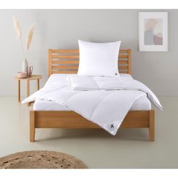 OTTO home Daunenbettdecke + Kopfkissen &raquo;Lodiken, Bettdecke 135x200 cm, 155x220 cm, Decke Made in Germany&laquo; Set mit Kissen 40x80 cm, 80x80 cm, Fr&uuml;hling,