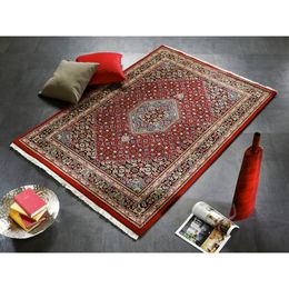 OCI DIE TEPPICHMARKE Orientteppich &raquo;HIMALI BIDJAR&laquo; rechteckig 20 mm H&ouml;he reine Wolle, handgekn&uuml;pft, mit Fransen, Wohnzimmer rot Wolle B : 250cm 1 Stk.