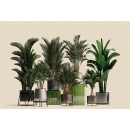 Livingwalls living walls Fototapete &raquo;Walls by Patel Plant Shop&laquo; glatt Vlies, Wand gr&uuml;n Vlies B/L: 4m x 2,7m