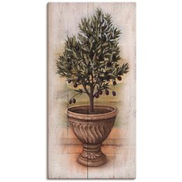 Artland Leinwandbild &raquo;Olivenbaum mit Holzoptik&laquo; Pflanzen 1 Stk. tlg. auf Holzrahmen gespannt gr&uuml;n Leinwand B/H/T: 30cm x 60cm, Leinwandbild Pflanzen 