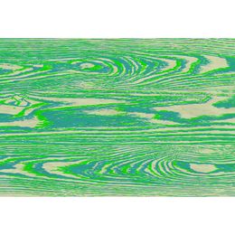 Livingwalls living walls Fototapete &raquo;Walls by Patel Bounty&laquo; glatt Vlies, Wand gr&uuml;n Vlies B/L: 4m x 2,7m
