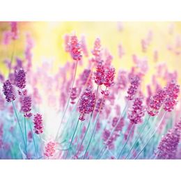 papermoon Fototapete &raquo;Lavender Flower&laquo; glatt bunt Vlies B/L: 5m x 2,8m, Bahnen: 10 Stk.