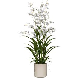 Creativ green Kunstorchidee &raquo;Orchidee Oncydie&laquo; im eleganten Topf wei&szlig; Kunststoff B/H/L: 98cm, 1 Stk.