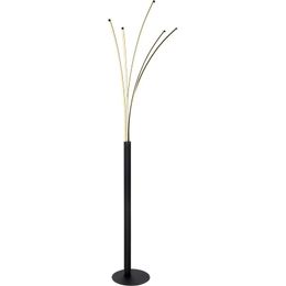 Globo LIGHTING LED Stehlampe &raquo;BIZZY&laquo; LED-Modul Stehleuchte/Wohnzimmer/Schlafzimmer/Flur Einheitsgr&ouml;&szlig;e