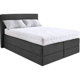Westfalia Schlafkomfort Boxspringbett wahlweise mit Kaltschaum-Topper grau Microvelours (100% Polyester) Microvelours Ohne Topper, Liegefl&auml;che B/L: 140cm x 200cm, H2 + H2, 