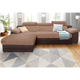 Sit & More sit&more Ecksofa &raquo;Xenia L-Form&laquo; wahlweise mit Schlaffunktion braun Luxus-Microfaser ALTARA NUBUCK (100% Polyester) / Struktur (100% Polyester);Luxus-