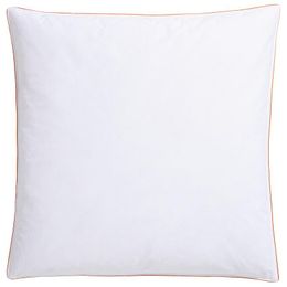 Ribeco Federkissen &raquo;Kopfkissen Richard, Kissen mit Daunenanteil, in 40x80 oder 80x80 cm&laquo; F&uuml;llung: 90% Federn & 10 % Daunen 1 Stk. tlg. Seit 105 Jahren
