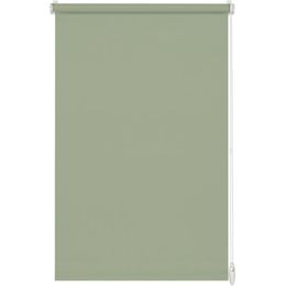 Gardinia Seitenzugrollo &raquo;EASYFIX Rollo Uni&laquo; Lichtschutz Sichtschutz mit Bohren/ohne Bohren freih&auml;ngend in sanften Pastellt&ouml;nen gr&uuml;n Polyester 210cm, 