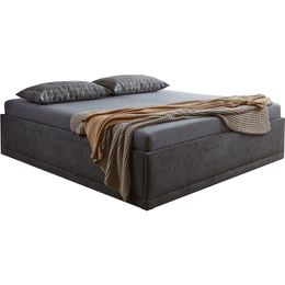 Westfalia Schlafkomfort Polsterbett &raquo;Texel&laquo; Standardh&ouml;he mit Zierkissen, Bettkasten bei Ausf&uuml;hrung mit Matratze schwarz Bezug Bett: Veloursstoff 100% Polyester oder 