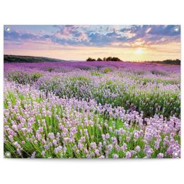 Reinders Poster &raquo;Lavender Field&laquo; Garten - Landschaft - Natur - Lila - Leinwand - 80x60 cm lila B/H/T: 80cm x 60cm x 0,1cm