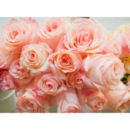 papermoon Fototapete &raquo;Pink Roses&laquo; glatt bunt Vlies B/L: 3m x 2,23m, Bahnen: 6 Stk.