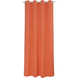Tom Tailor HOME Vorhang &raquo;Dove Signature&laquo; &Ouml;sen 1 Stk. tlg. blickdicht orange Polyester 250cm, &Ouml;sen, 140cm