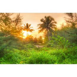 papermoon Fototapete &raquo;Amazing Jungle Sunrise&laquo; glatt bunt Vlies B/L: 4m x 2,6m, Bahnen: 8 Stk.